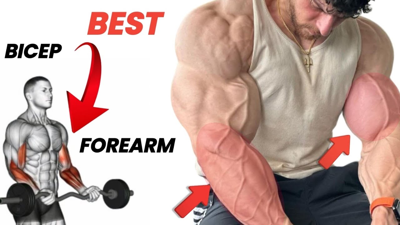 Best Forearm And Bicep Exercises To Build Big Hand Muscle | Forearm And ...