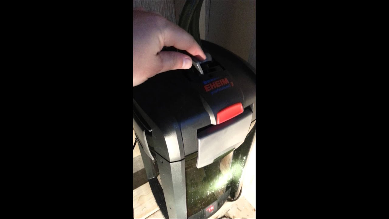 Eheim pro 3 350 noise - YouTube