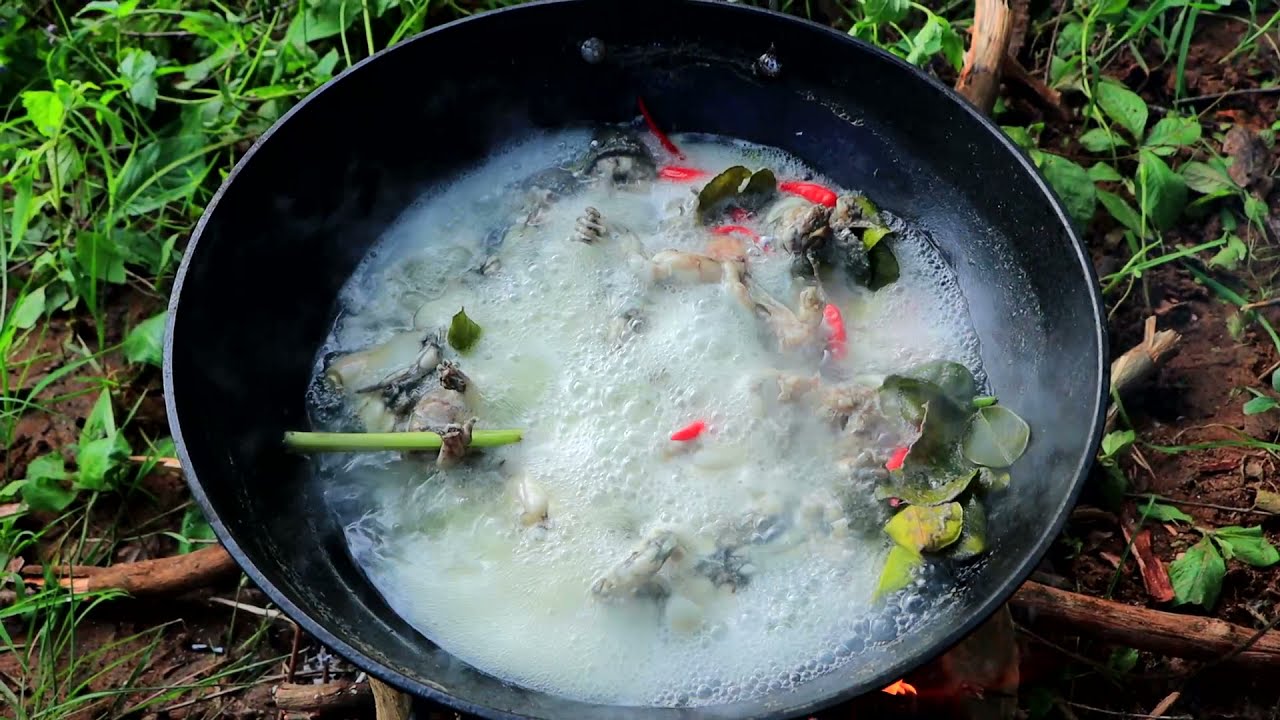 Wife and husband Cooking frogs for eating - boiled frogs chilli - YouTube