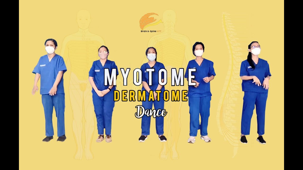 Dermatome & Myotome Dance - YouTube
