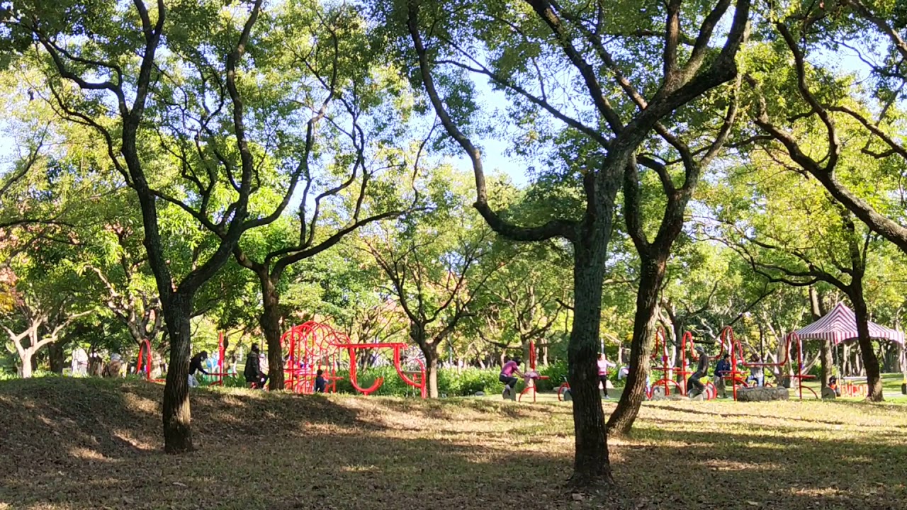 Taipei/sunny morning/Dann Park - YouTube