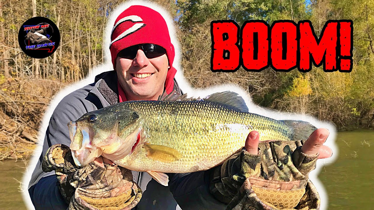 Landing BIG Fall Bass on the Meramec River! - YouTube