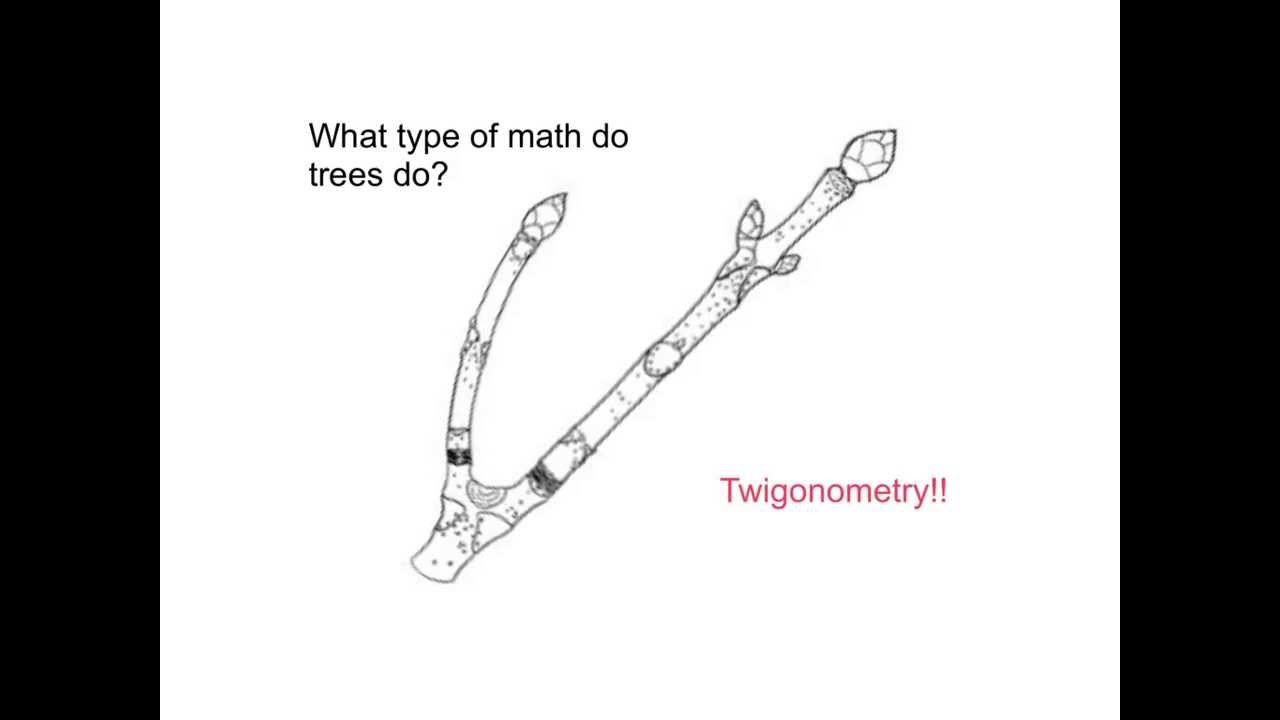 Trigonometry Grade 10 Basics YouTube trigonometry-grade-10-basics-youtube
