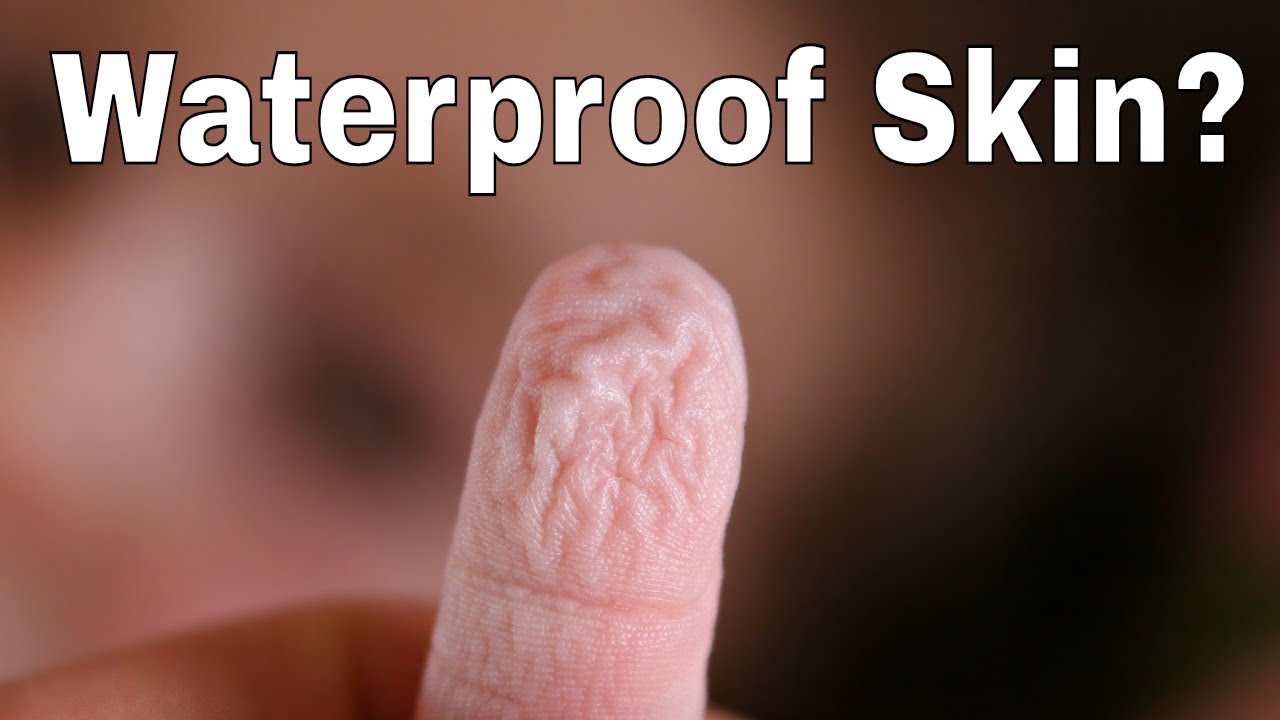 The Real Reason Your Hands Get Wrinkly in Water. The Human Sponge ...