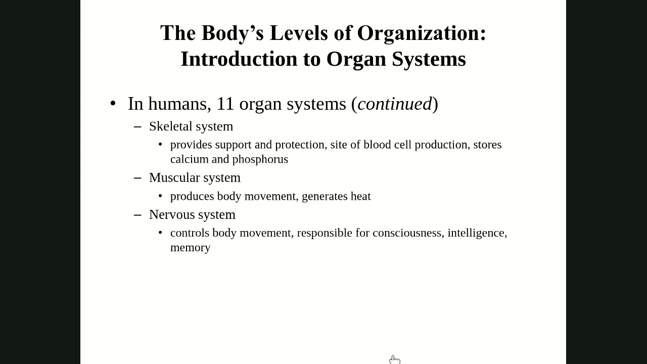 General Body Plan Recording - YouTube