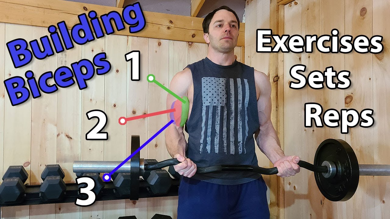 Increasing Biceps Size (Exercises, Sets, & Reps) - YouTube