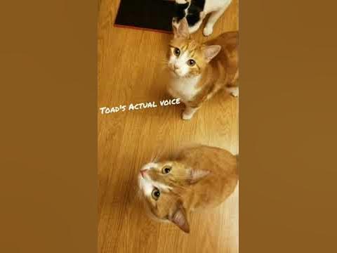 Q&A Episode 4 - YouTube