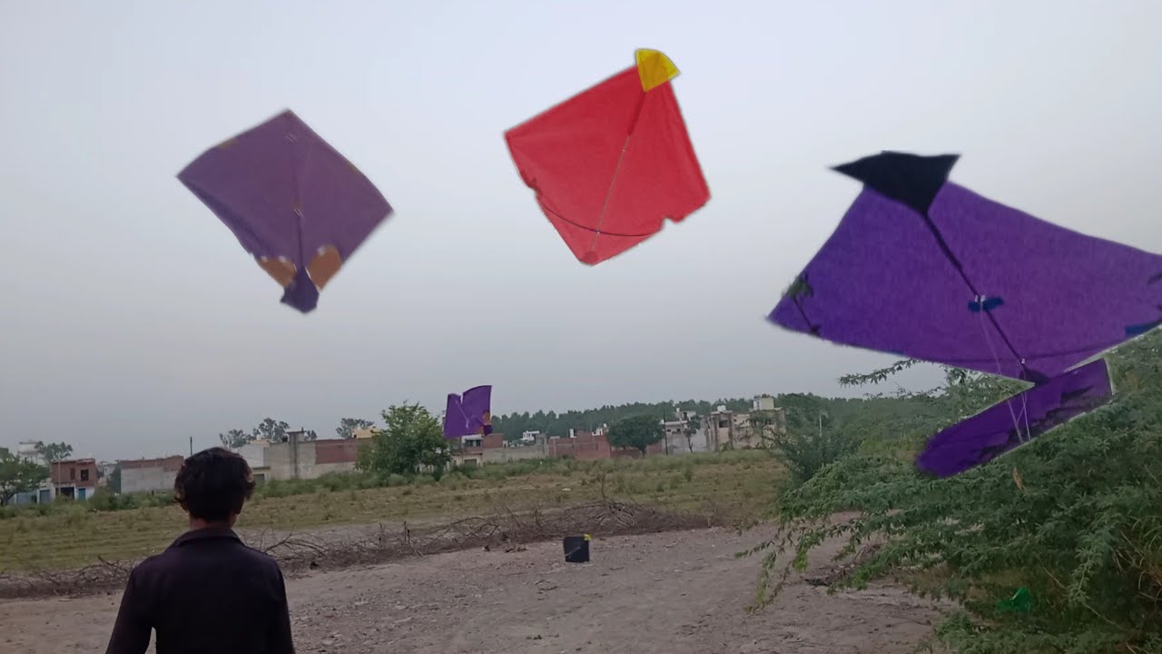 caught kite from ground kite catching kite looting - YouTube