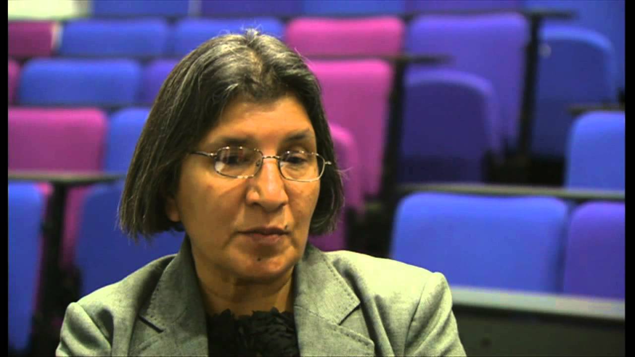 the UN Special Rapporteur on violence against women talking to said ...