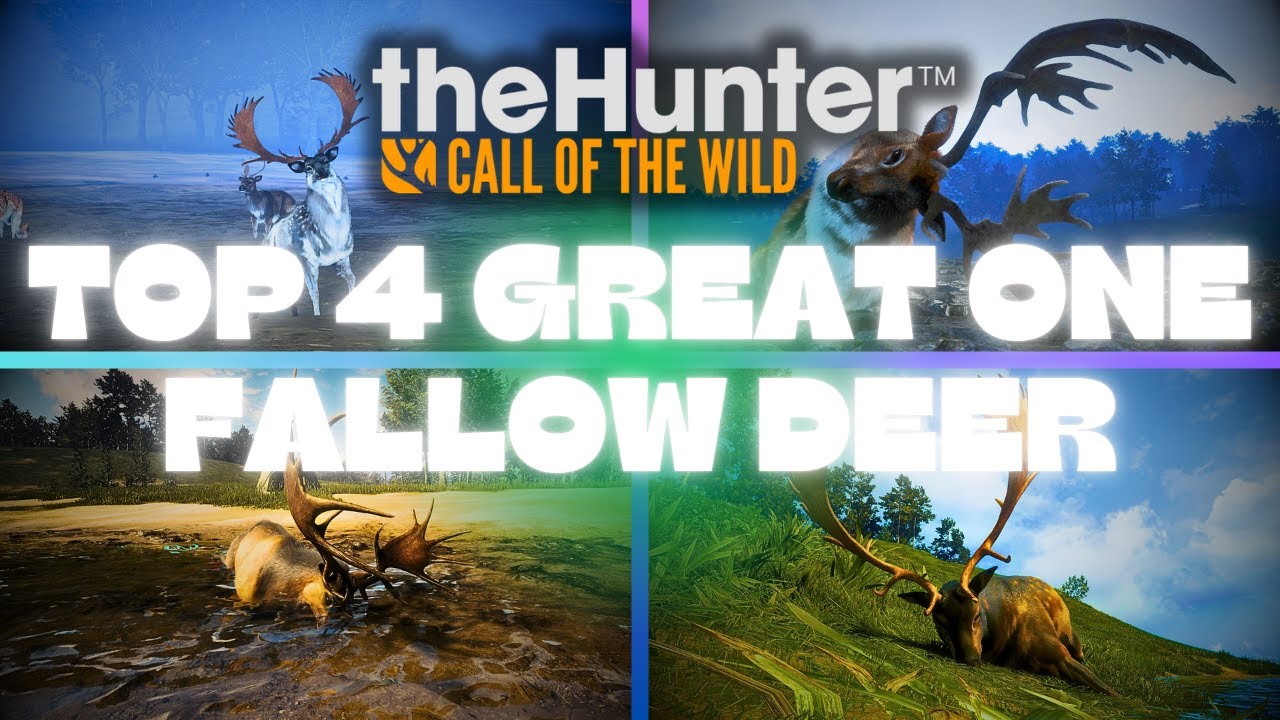 My Great One Fallow Deer's in my lodge shown today Hunter Call of the ...