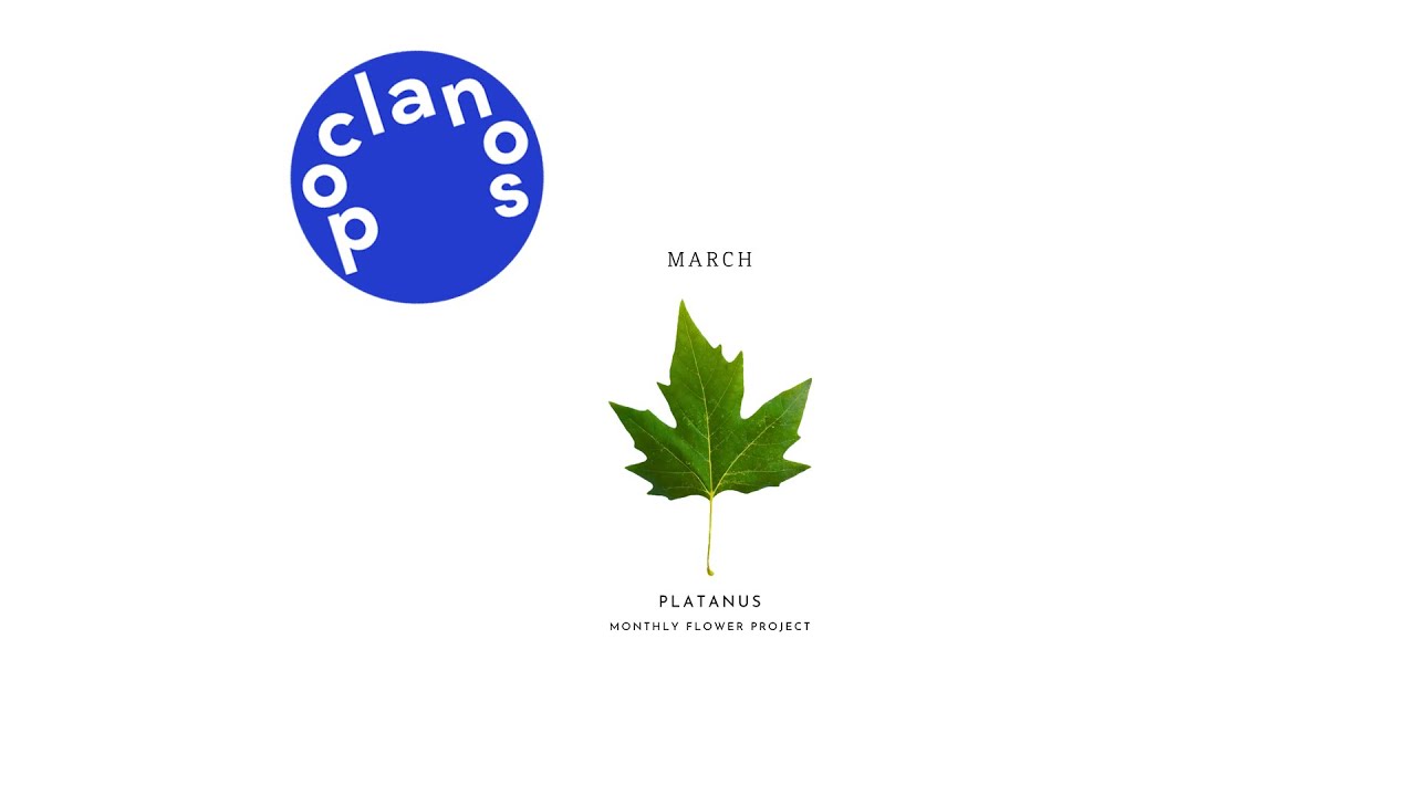 [Official Audio] PERC%NT - Platanus - YouTube Music