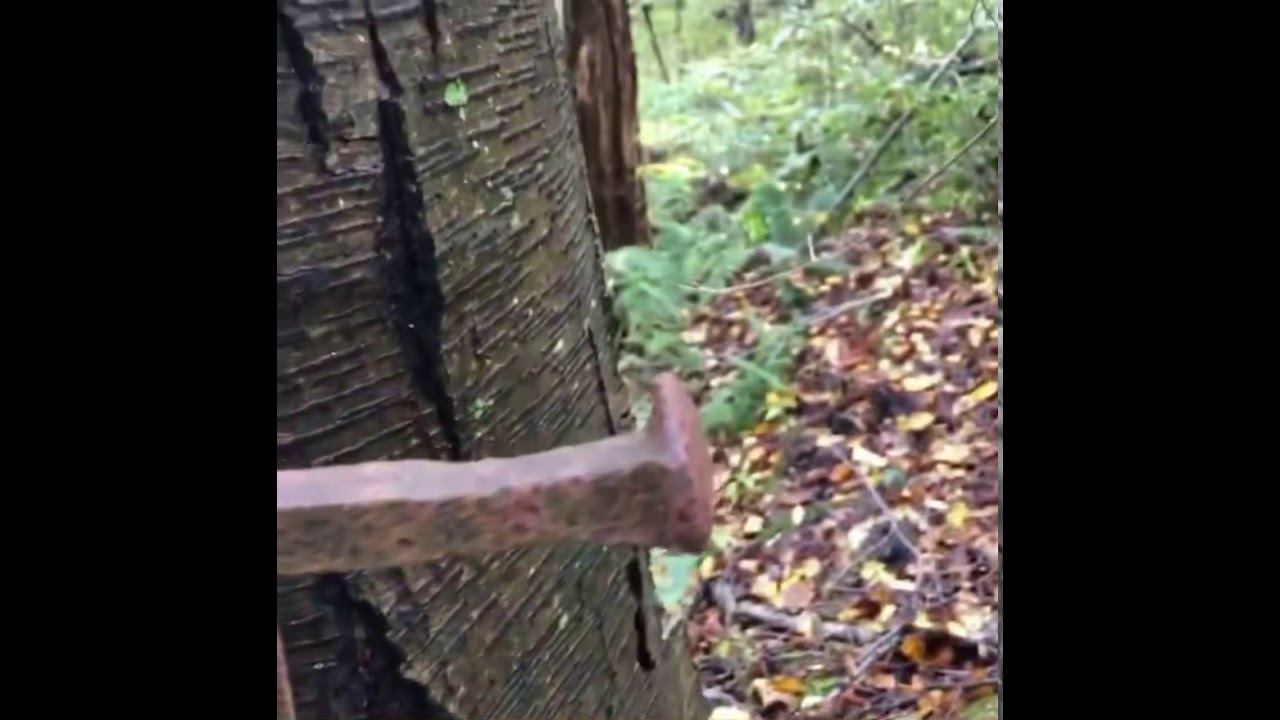 Homemade tree stand - YouTube