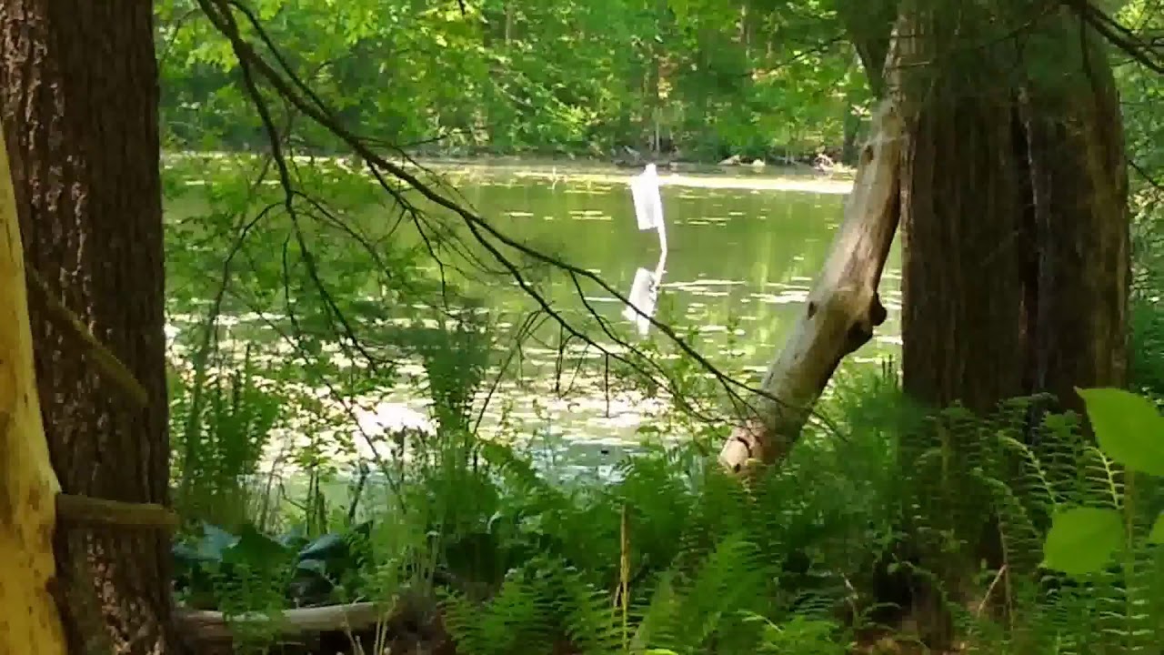 Hiking and seeking nature🌲 - YouTube