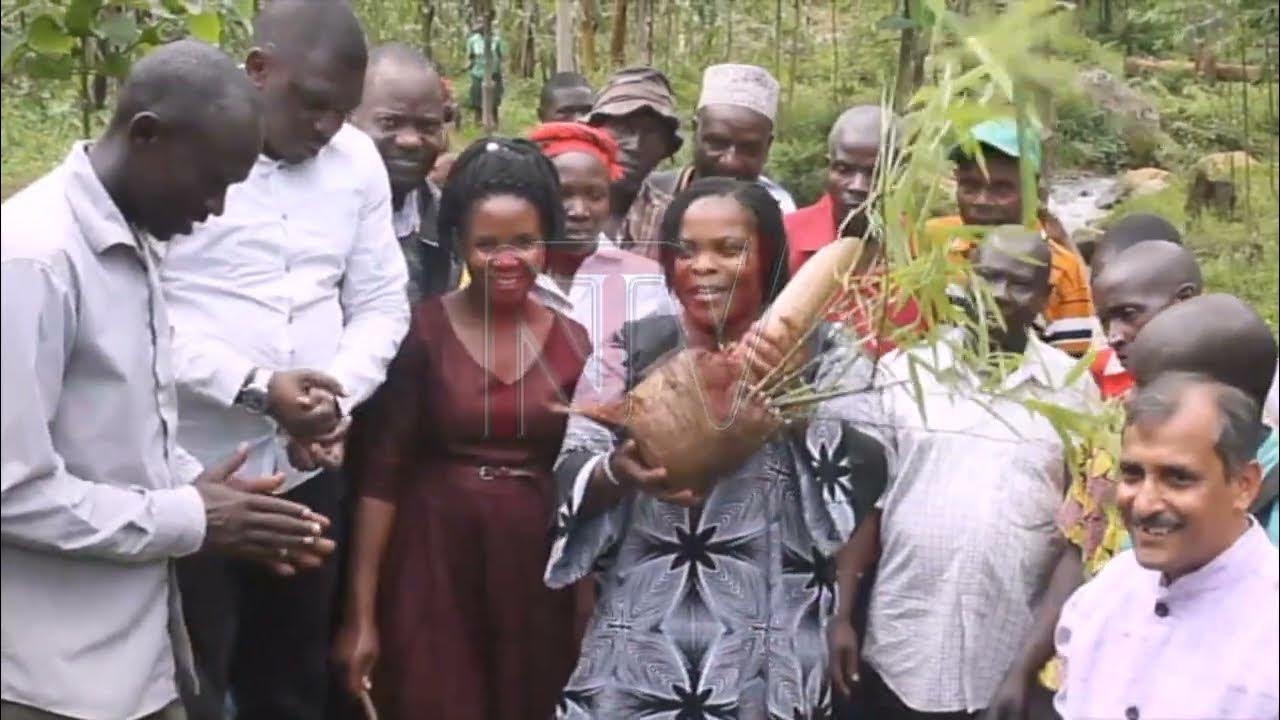 State Minister Nandutu urges Bududa Residents to grow Bamboo to prevent landslides - YouTube