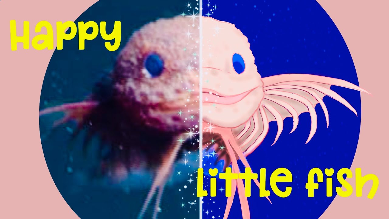 Draw With Me | Cute Deep Sea Snailfish - YouTube