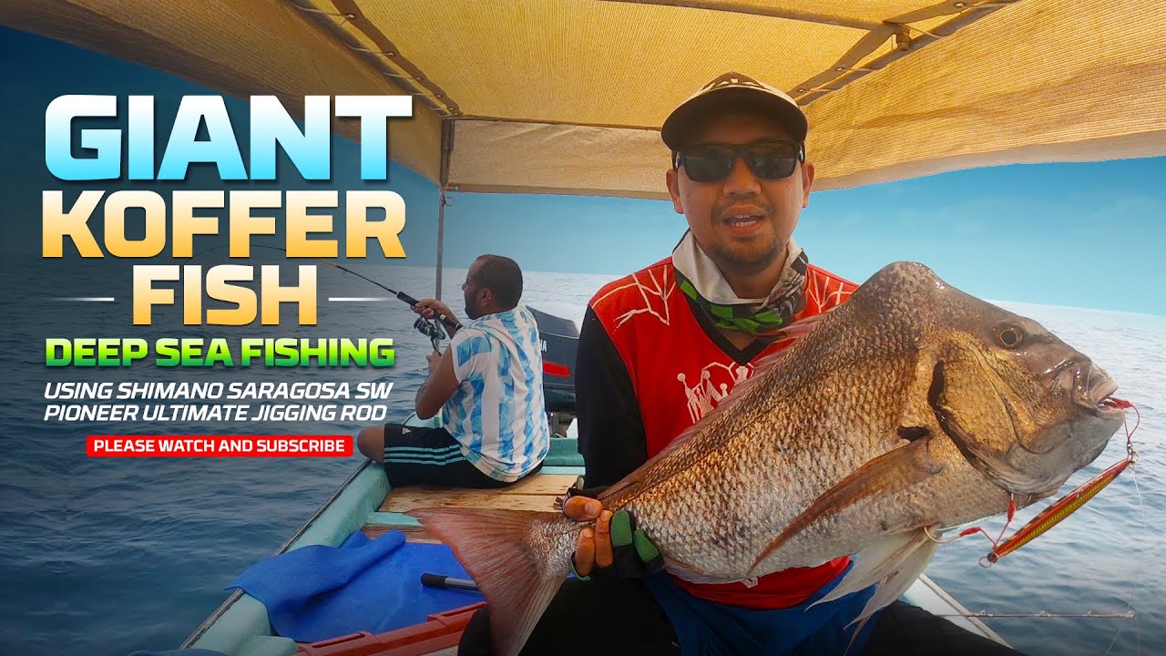 Biggest koffer fish caught offshore - YouTube