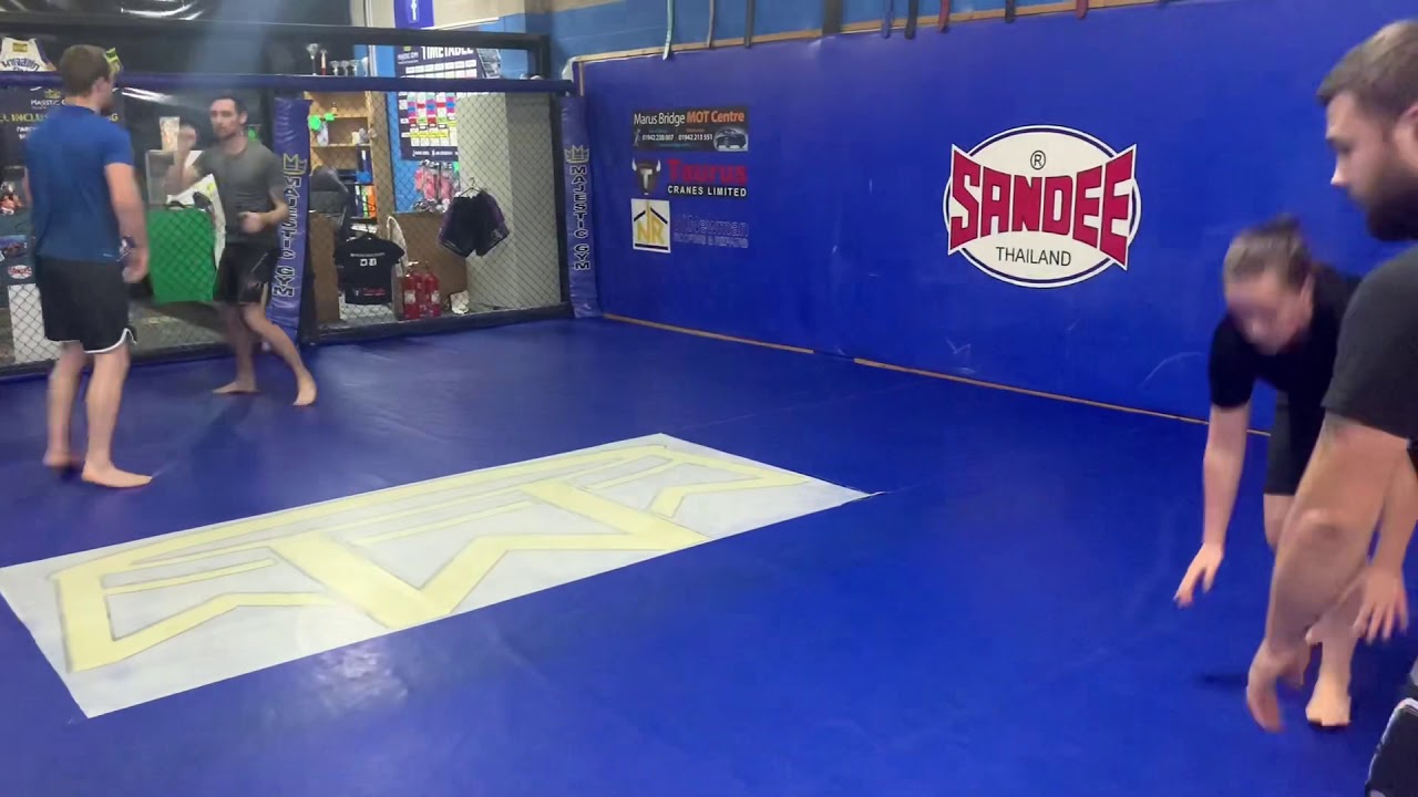 Majestic Gym adult MMA workout at home session (public) 17.11.20 - YouTube