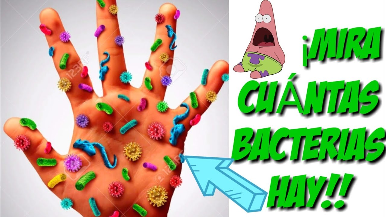 ¿Cuántas bacterias hay en las manos? - YouTube