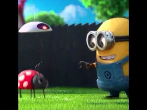 Minion and Ladybug Puppy? - YouTube