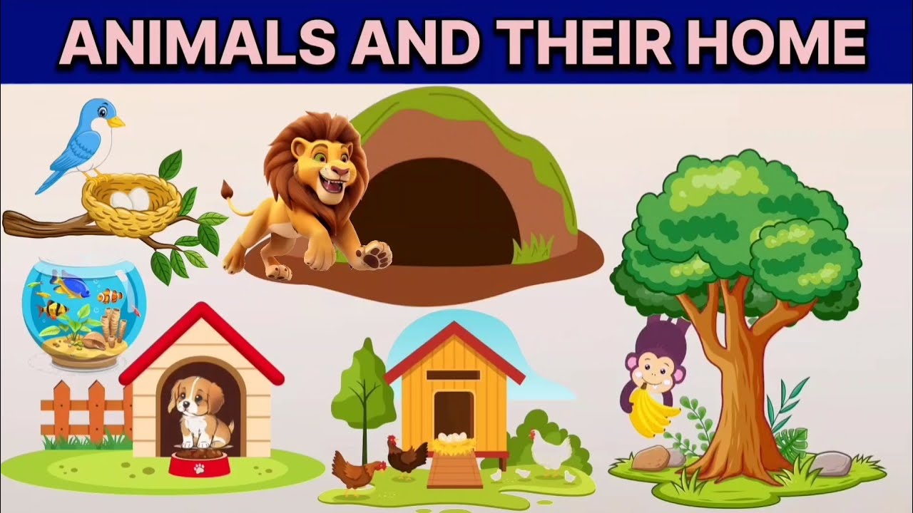 Animals and their Home | Animal Home | Animal Names and homes for kids ...