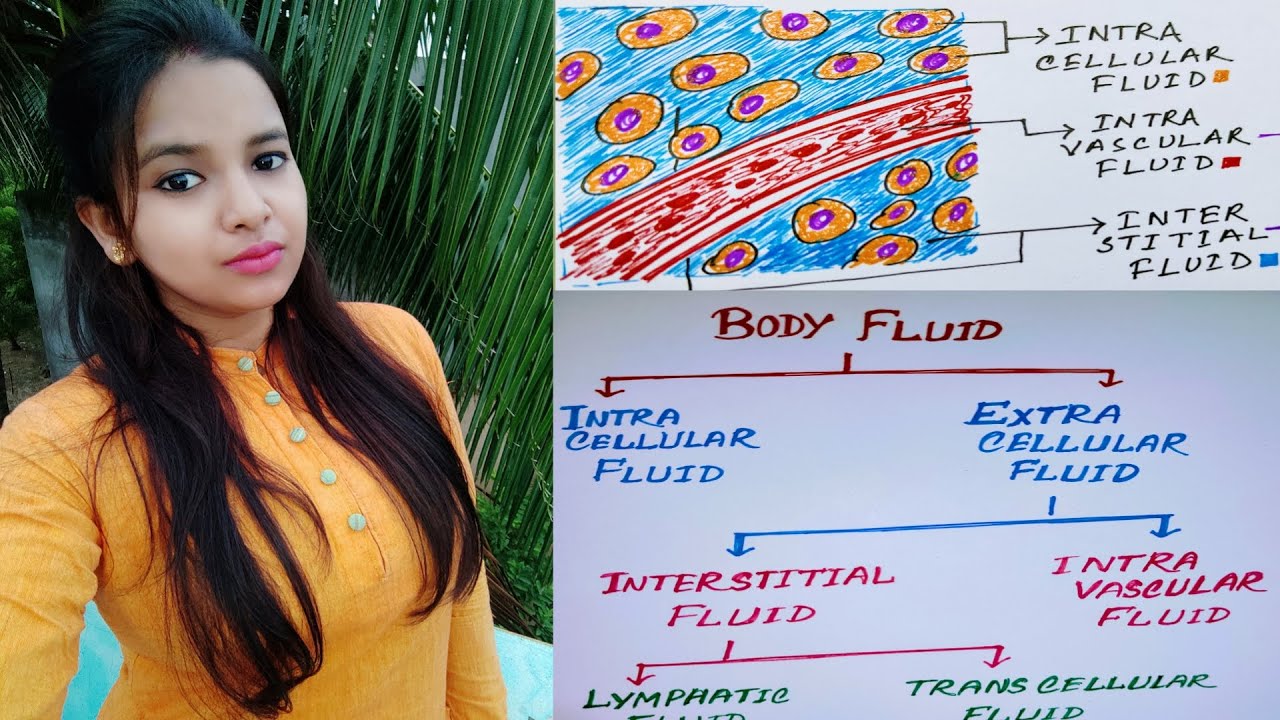 Nursing tutorial 002||Body Fluids||Types, Composition, Functions||Tiya ...