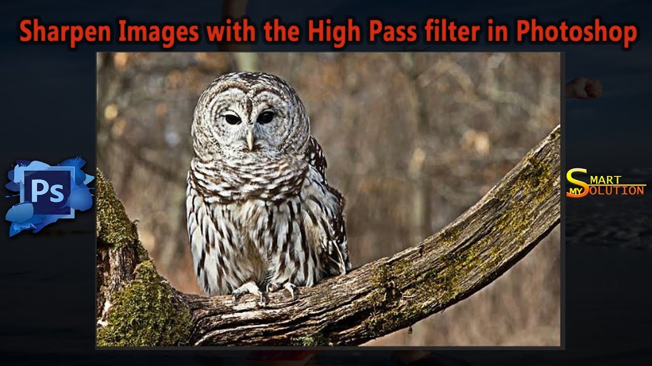 Sharpen Images in Photoshop with the High Pass filter | My Smart ...