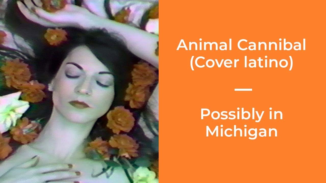 Animal Cannibal - Possibly in Michigan (cover español) - YouTube