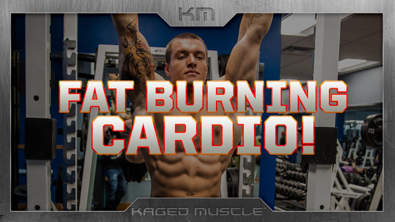 FAT BURNING CARDIO | HIIT TRAINING WITH JESSE NORRIS - YouTube
