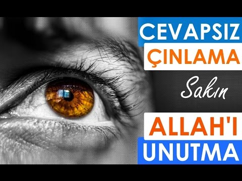 Cevapsız Çınlama Dinle (En İyi Videolar)