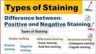 Types of Staining | Staining technique | Staining | Doovi
