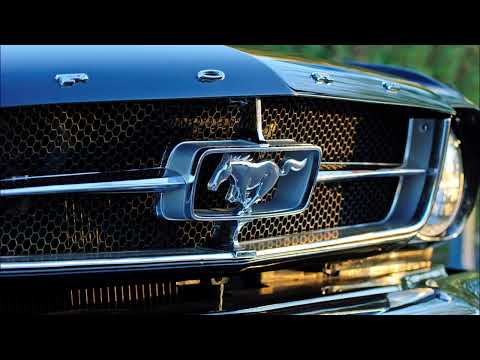 KoKo-PoP - Baby On The Run