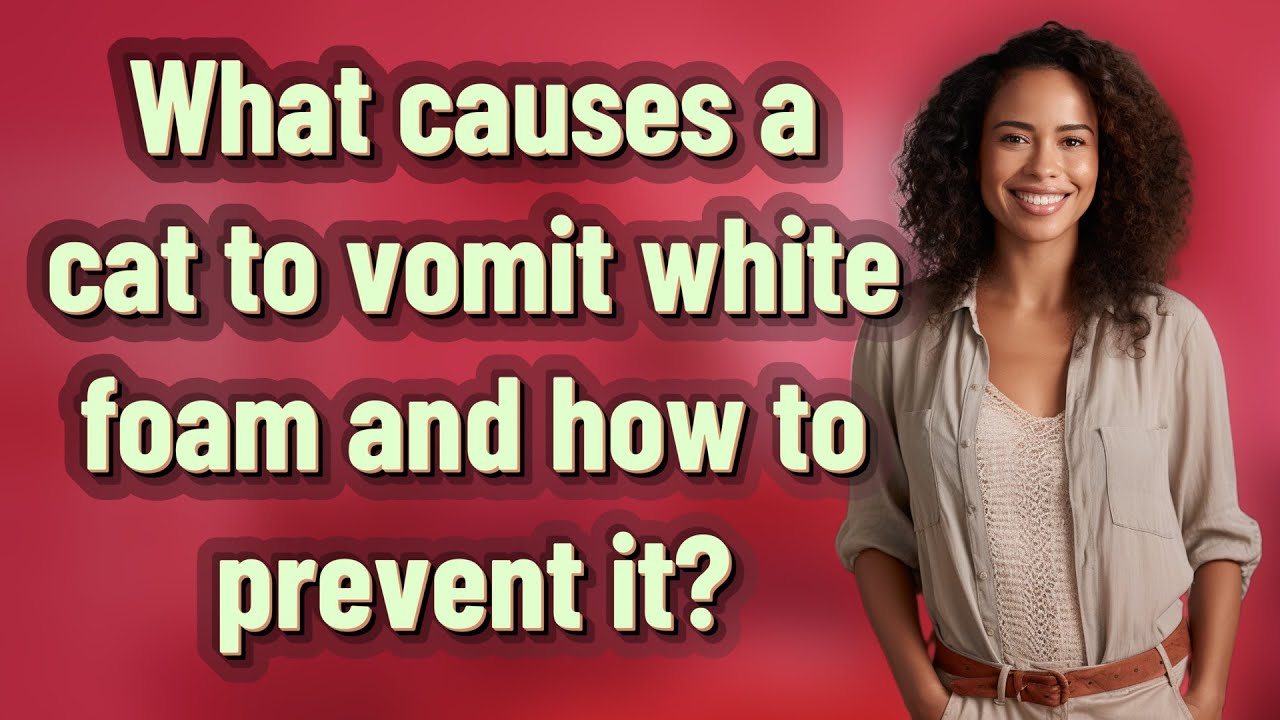 What causes a cat to vomit white foam and how to prevent it? - YouTube