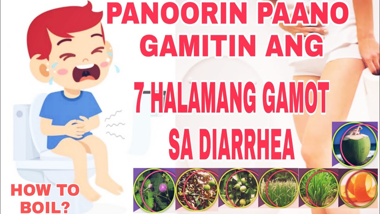 7 HALAMANG GAMOT SA DIARRHEA | ALAMIN ANG TAMANG PAG-INOM - YouTube