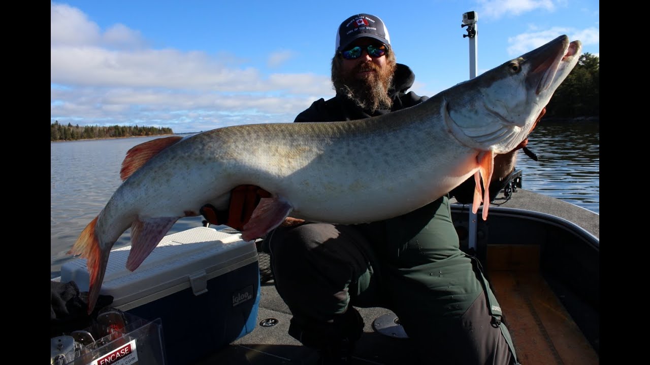 Super Tanker Muskie, Great Fight - YouTube