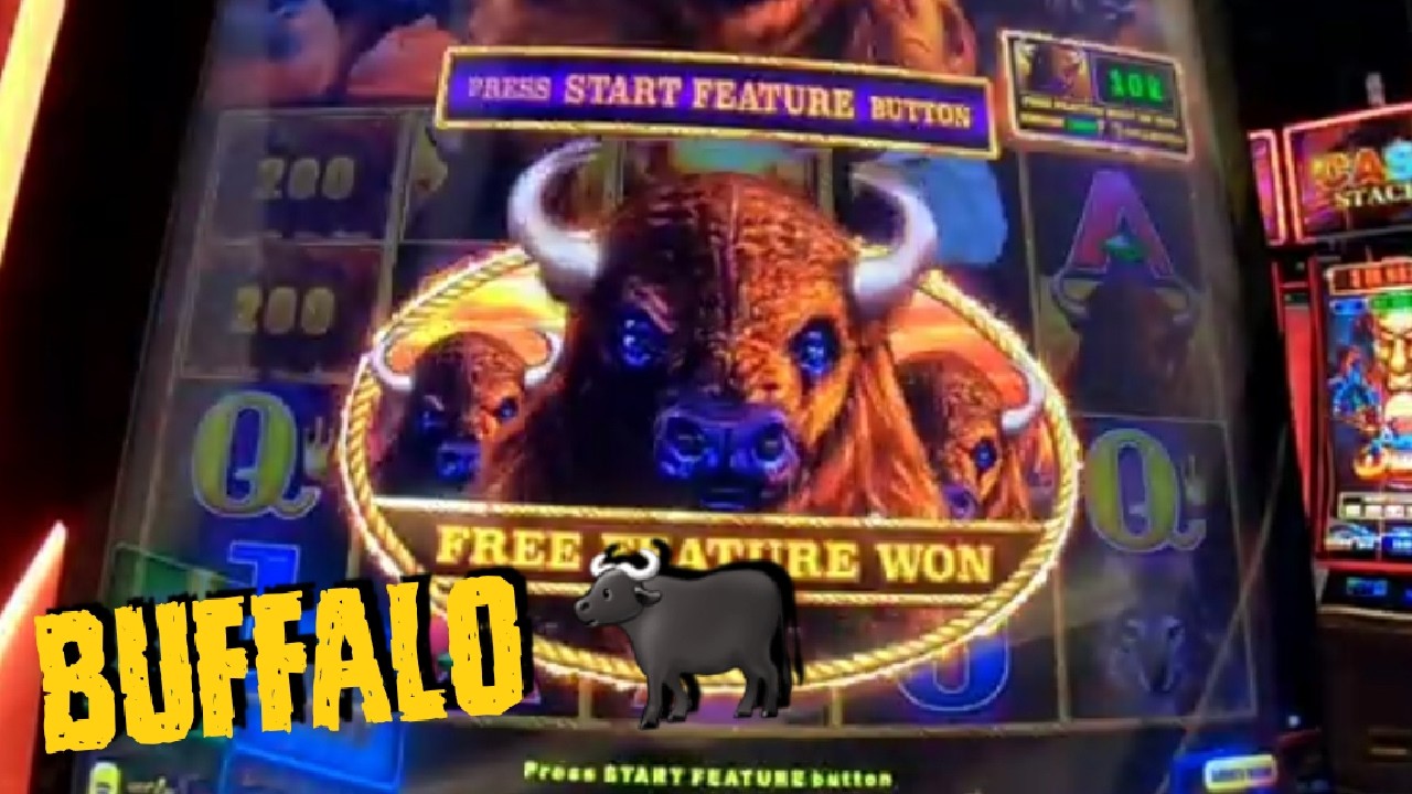 Buffalo Bonus Win 🦬 Over 100x Bet Win!! - YouTube