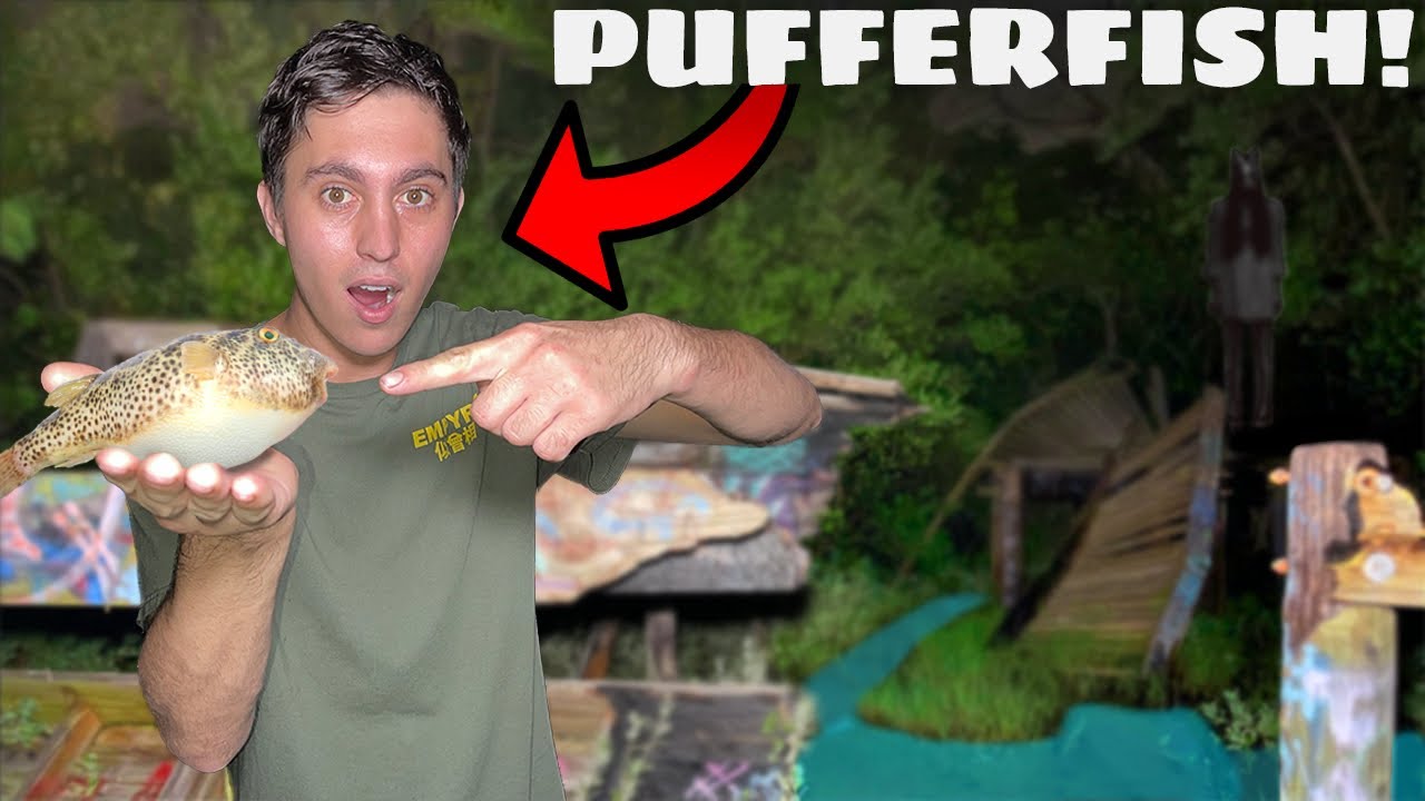 NETTING DEADLY PUFFERFISH IN TIDE POOLS! - YouTube