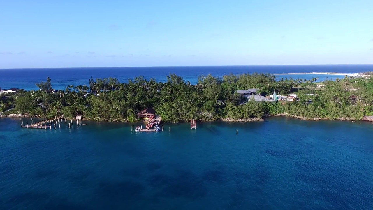 Peaceful Bahamas Waters at the Sivananda Ashram Yoga Retreat - YouTube