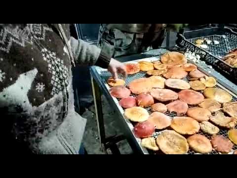 +79034719998 MAKSIM WHATSAPP