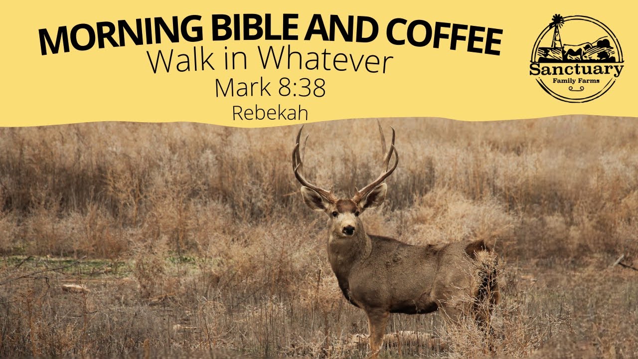 Walk in Whatever (‭‭Mark 8:38) – Rebekah‬‬‬‬‬‬‬‬‬‬‬‬ - YouTube