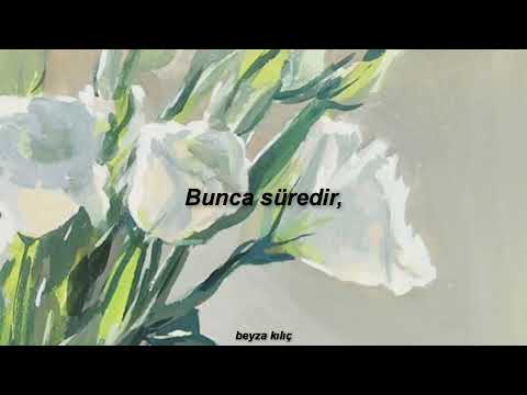 Dionysos • Chanson D'été [Türkçe Çeviri]