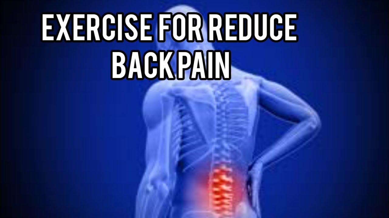 Back pain reduce exercise for everyone - YouTube