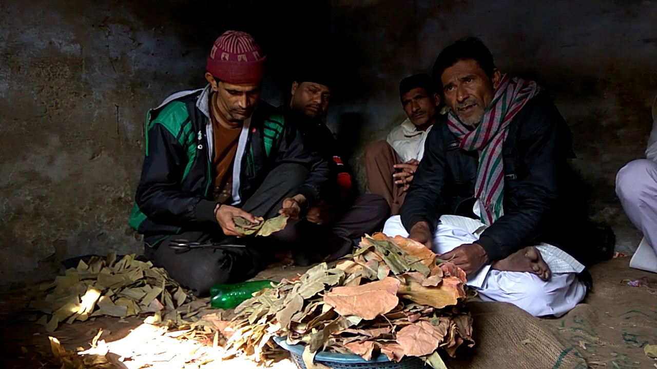 Beedi Workers in Rampur - YouTube
