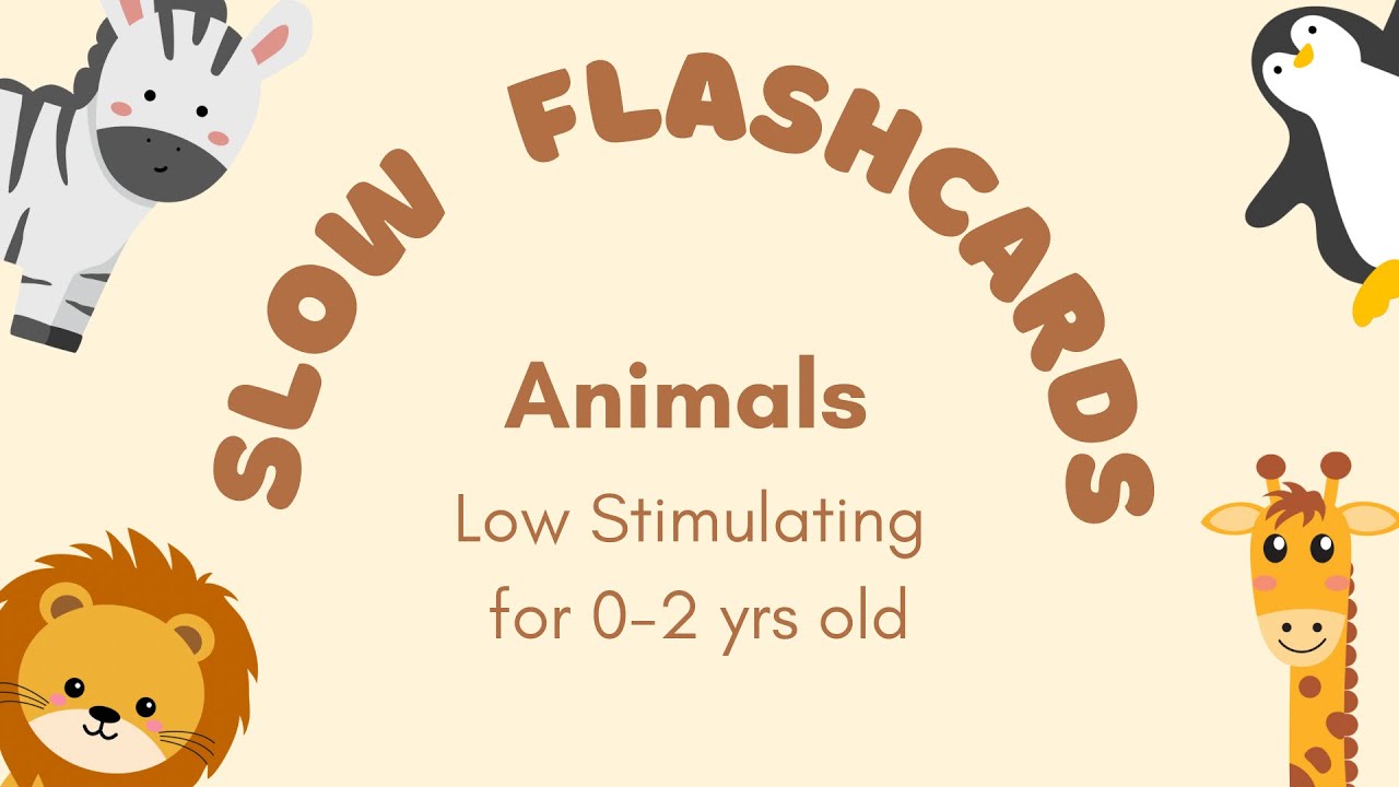 Slow Animal Flashcards for Babies and Toddlers | Low Stimulating | 0-2 ...