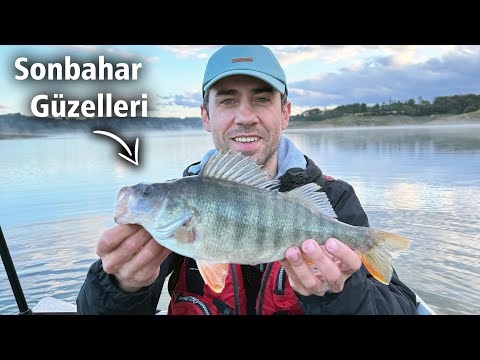 En balıklı Videolardan Biri /  Hiç Durmadan Aralıksız Yakaladık