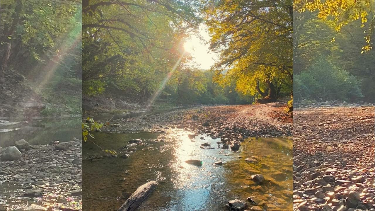 Astropilot, LUNIQ., Eternal Meadows - Luminosity [Full EP] - YouTube