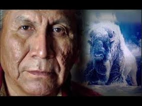 Interview: Chief Arvol Looking Horse Spiritual leader of the Lakota ...