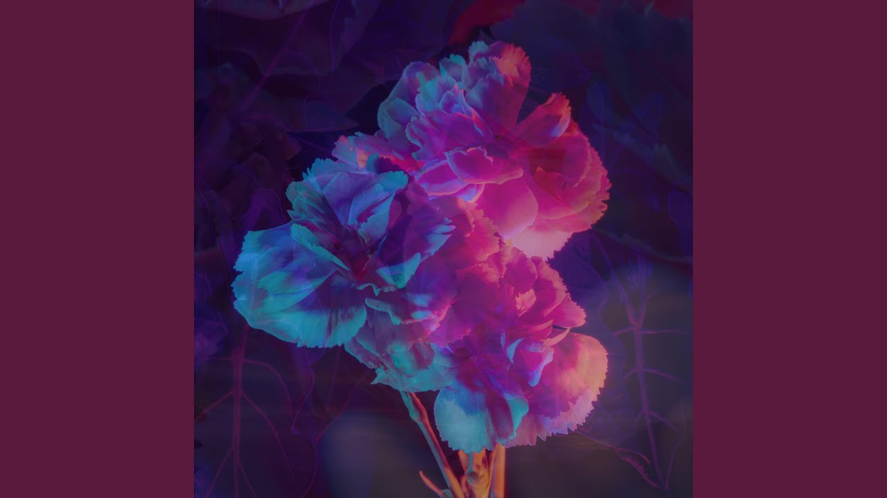 Helloworld Youtube 5223