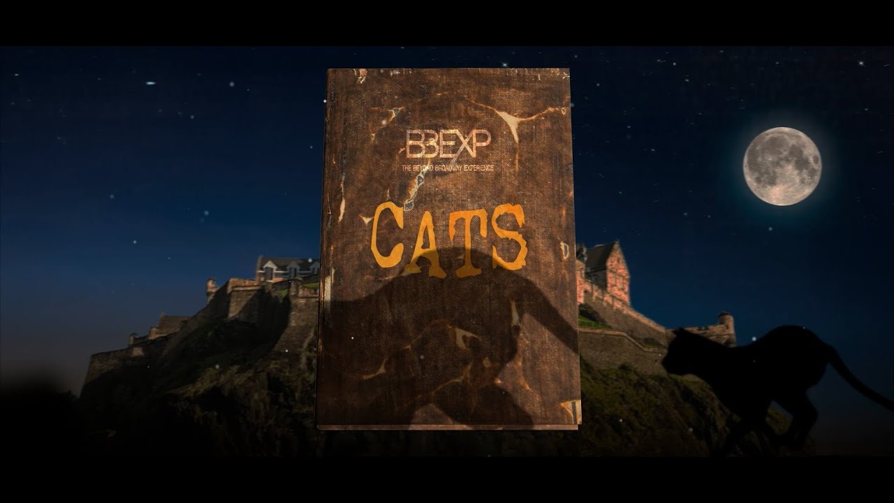 BBEXP 2024 CATS Performance Animated Video Wall Sample 3D and 2D work ...