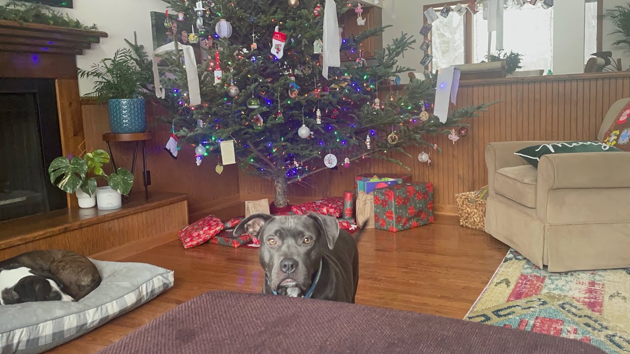 vlogmas day 22 - YouTube