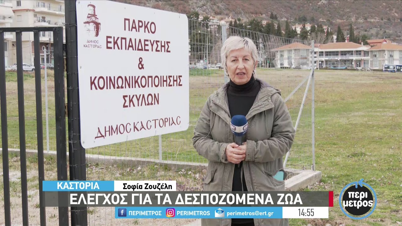 Έλεγχος για τα δεσποζομενα ζώα | 07/03/2023 | ΕΡΤ - YouTube